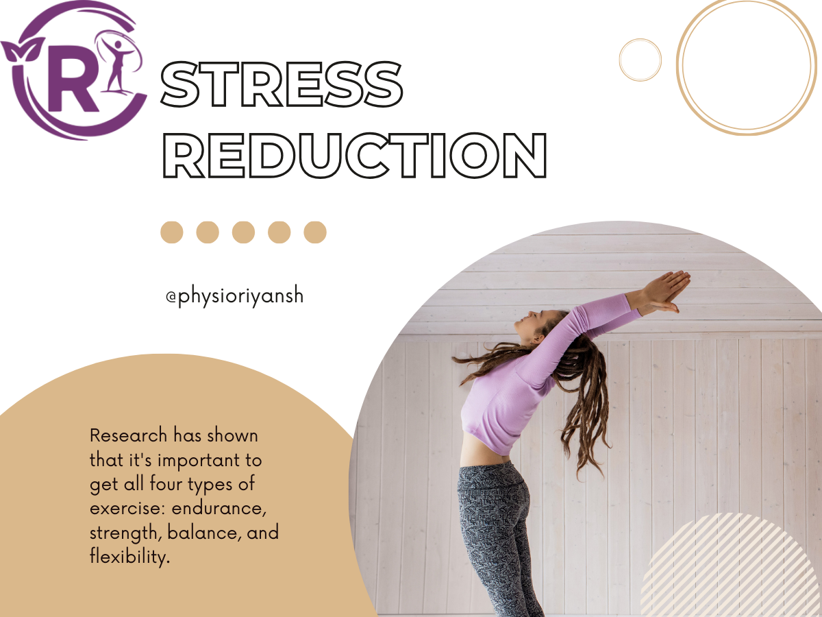 Achieving Stability: The Role of Wobble Board Exercise Therapy in ...