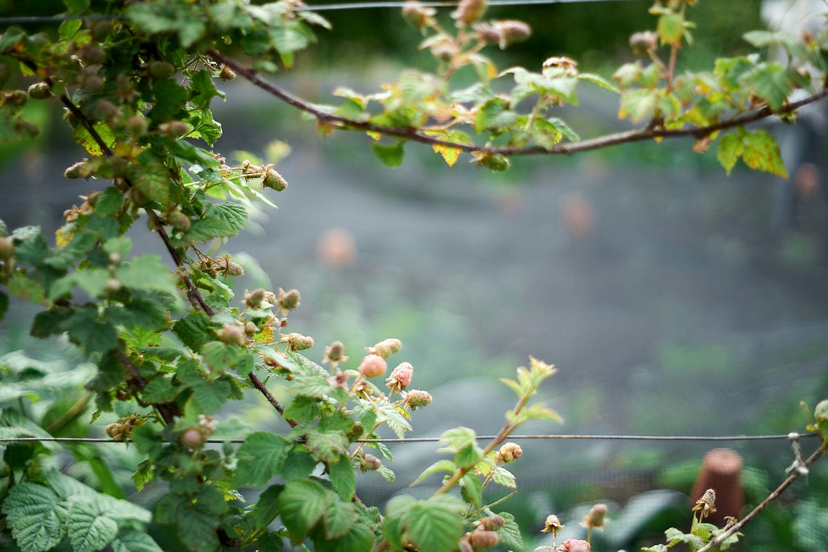 What Do Successful People Have in Common? | by Haniya Javed | Know Thyself, Heal Thyself | Jun ...