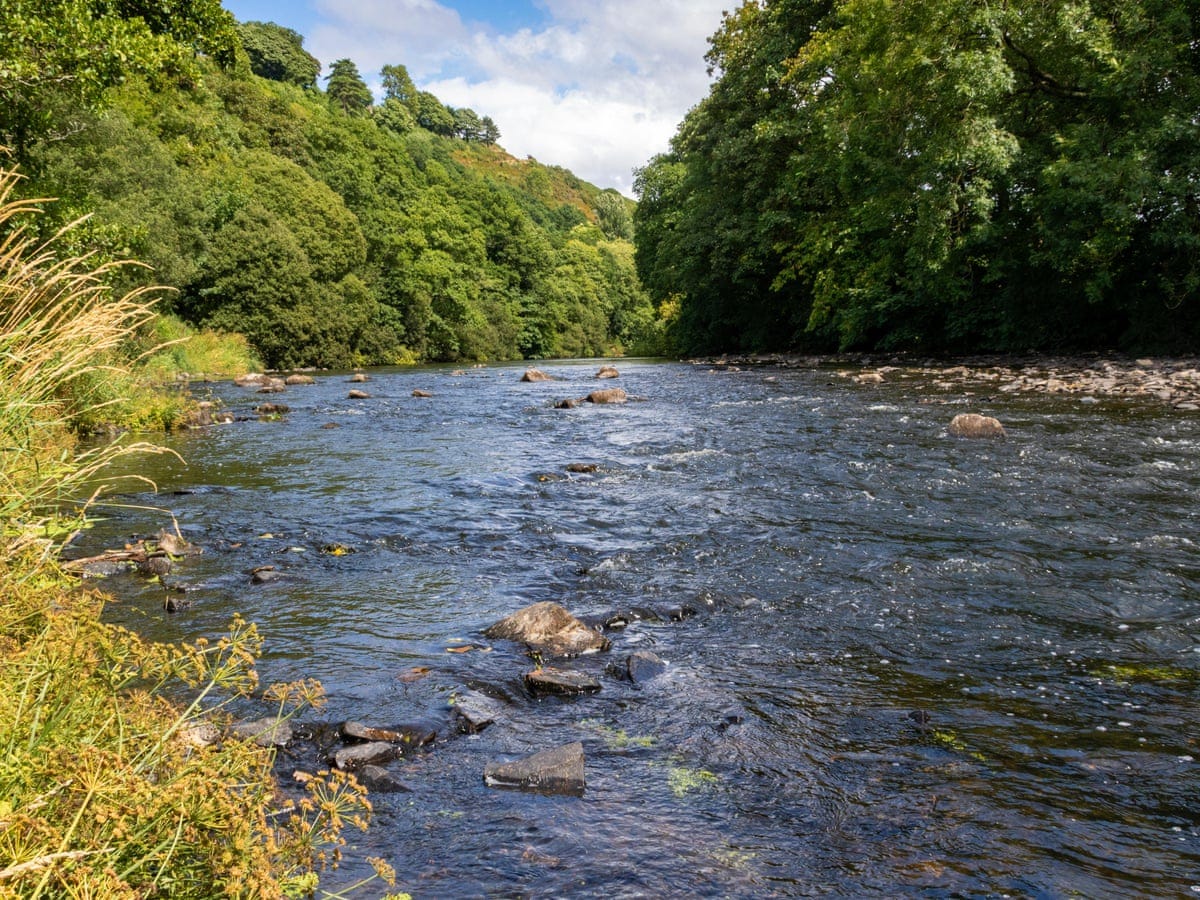 I Met My Sky. - Sam Cottle - Medium