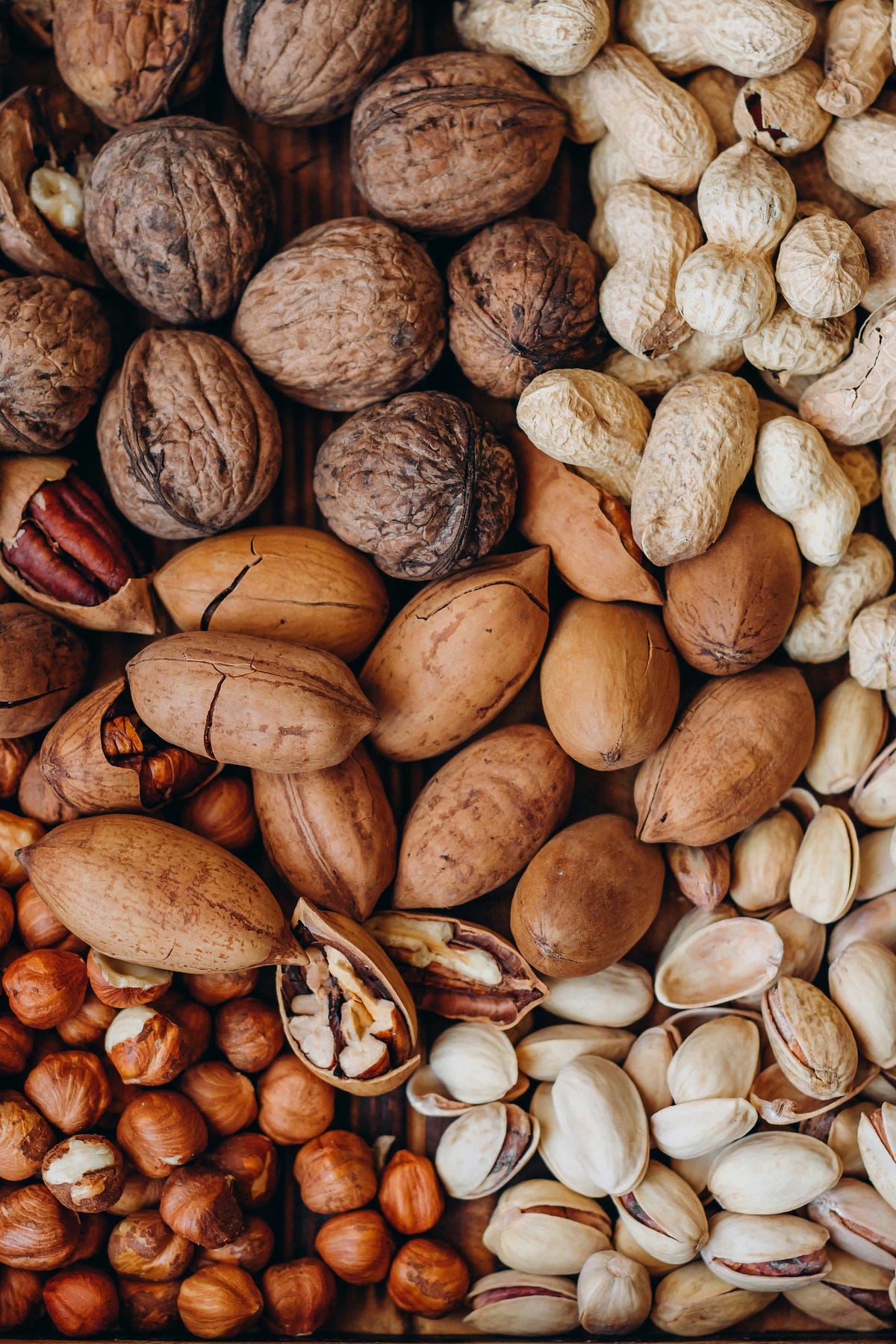 Different kinds of nuts | by Hillary Beth Trivette | Medium