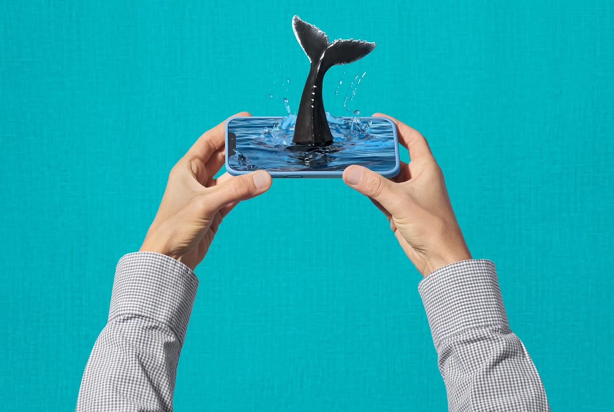 How AI is Helping Us Track Whales in a Non-Invasive Way: The Story of ...