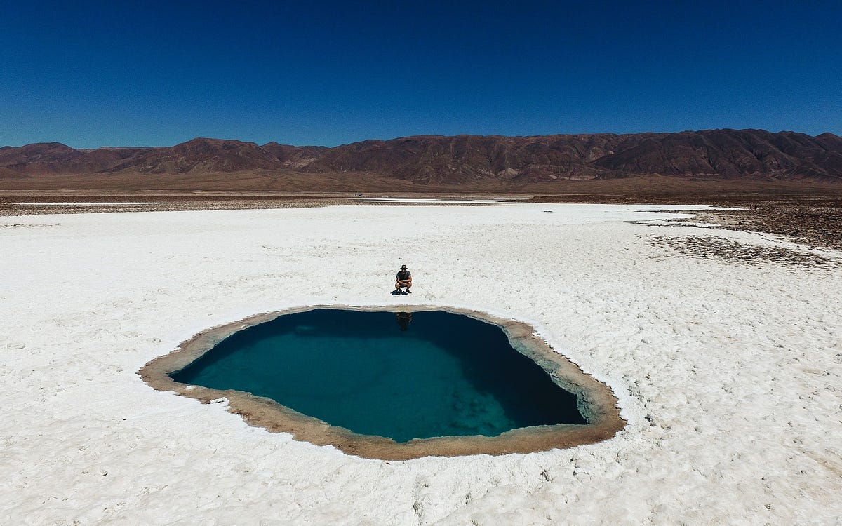 Navigating the Oasis: Unveiling the Potential of Oasis Network | by ...