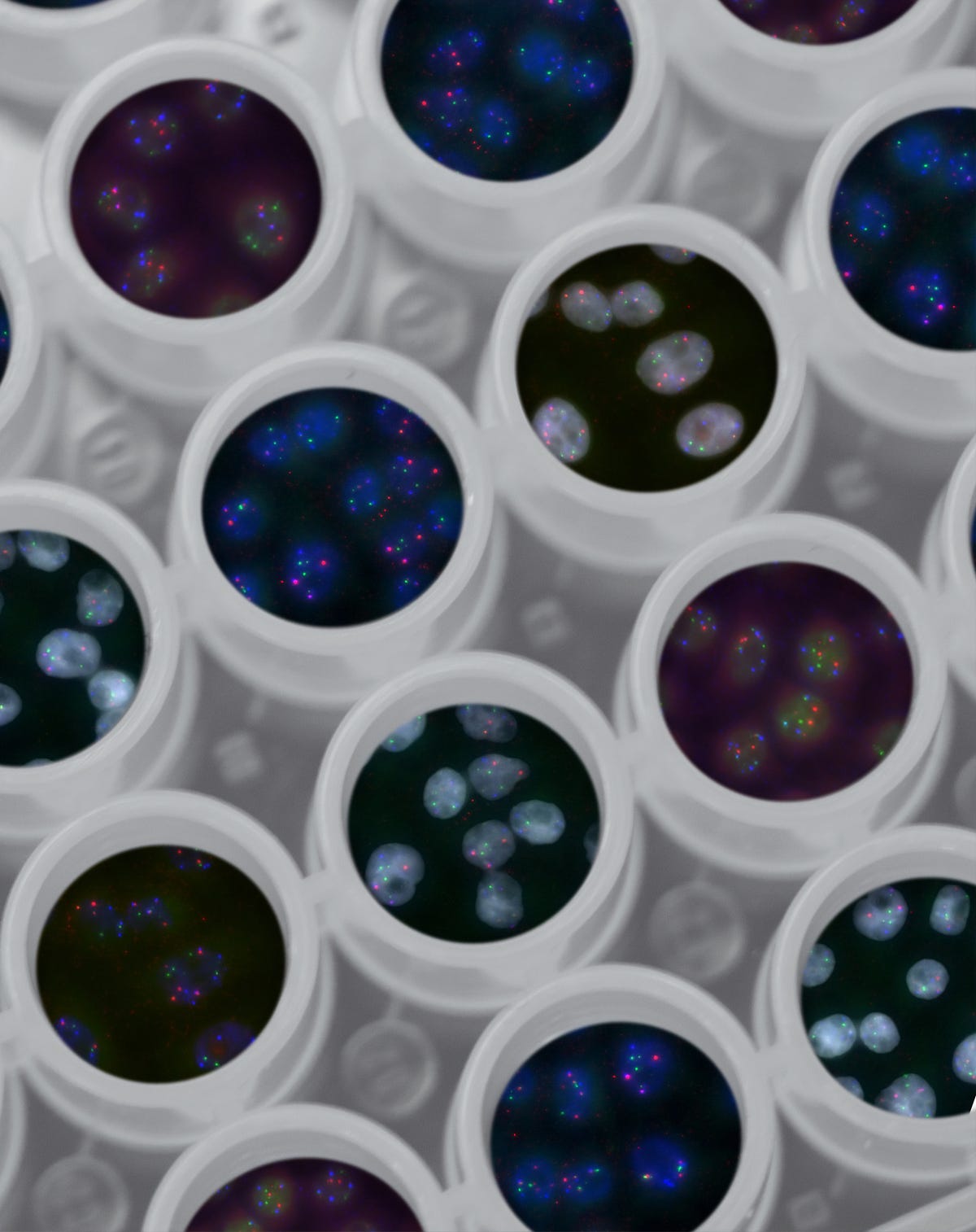 Central vs. Local Labs: Advantages, Problems, and the Challenges of ...