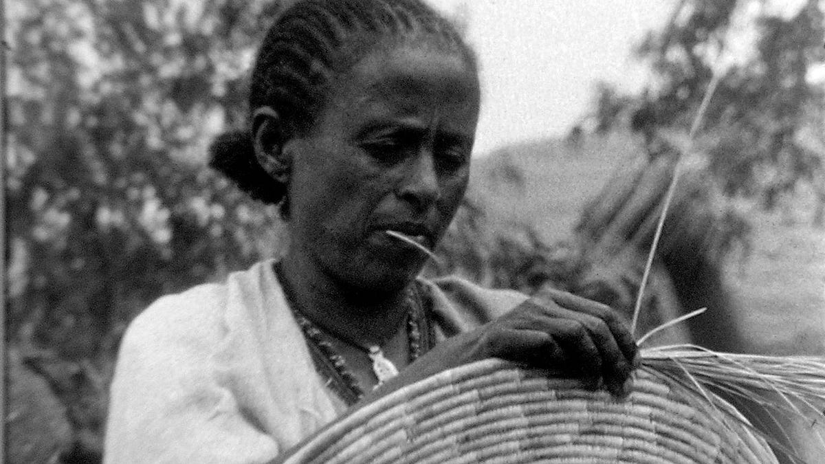 Harvest: simboli, linguaggi e letteratura orale amarica incorporati in ...