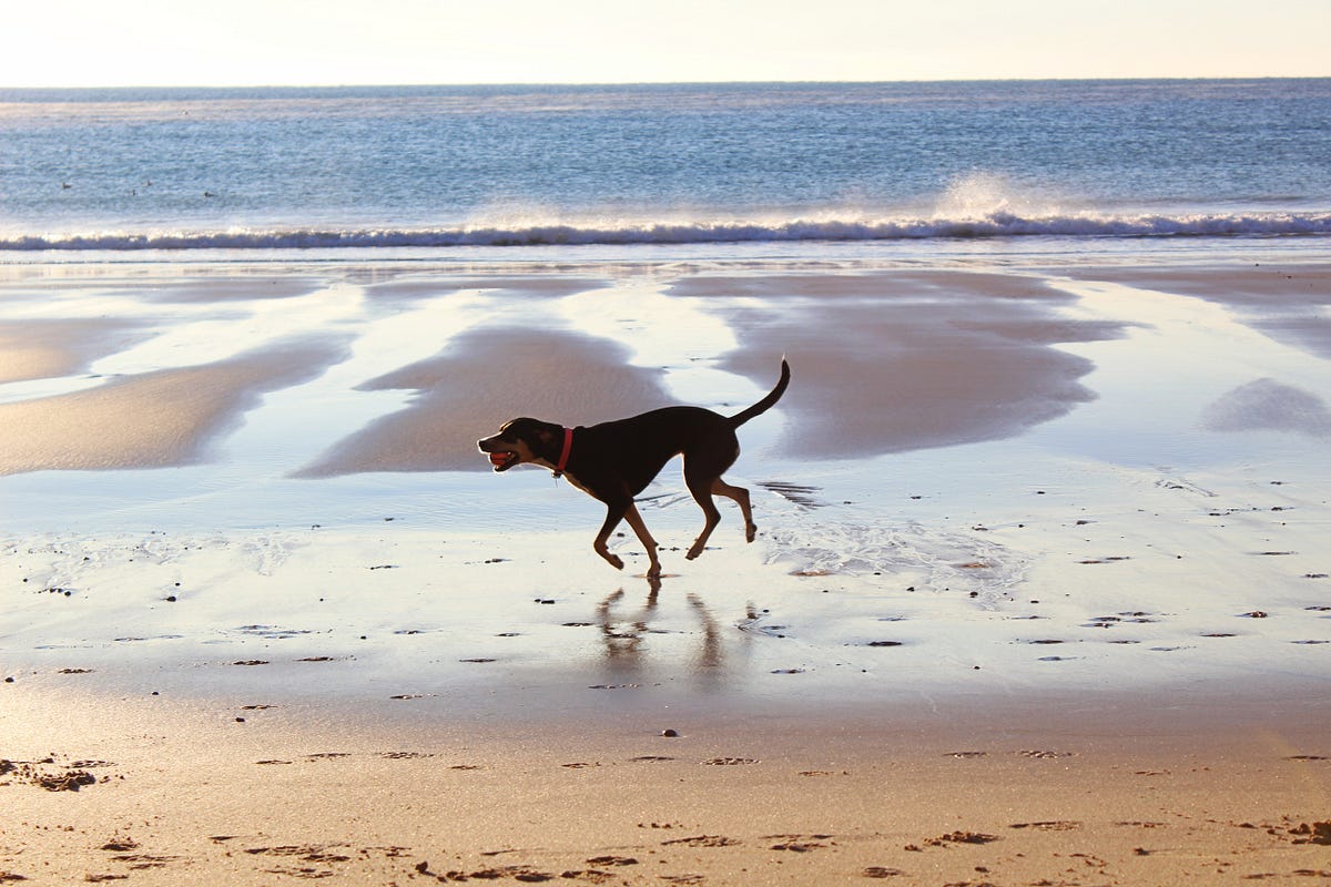 5 Viable Ways to Achieve Results That Would Gradually Transform Your ...
