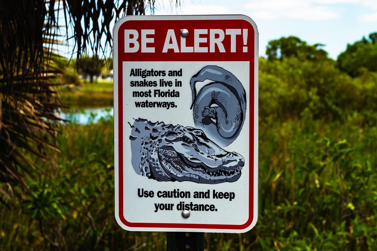 Build A Full Screen Alert Dialog In Flet Python By Henri Ndonko Python In Plain English