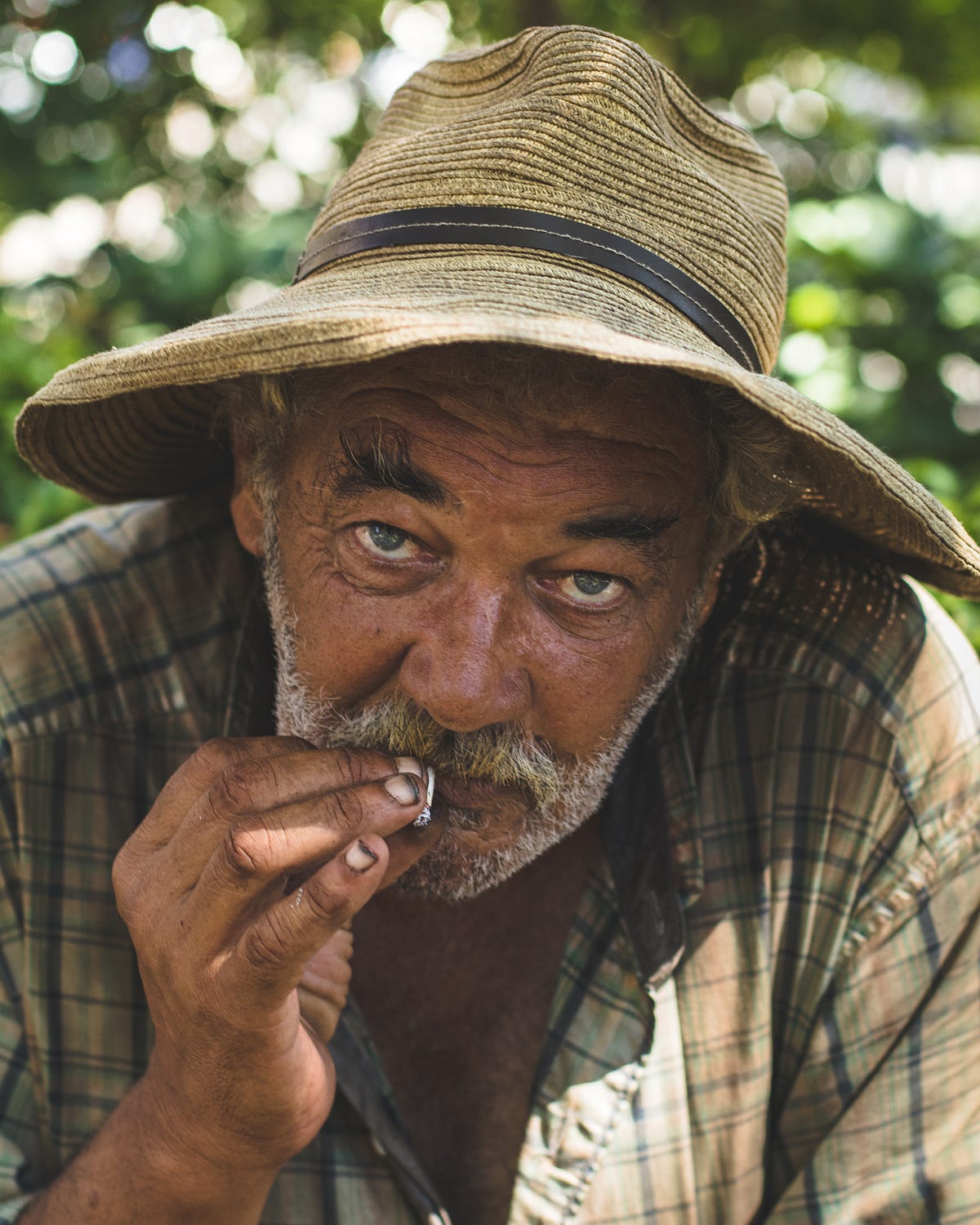 A short response to an excellent post on cannabis. This issue is here ...