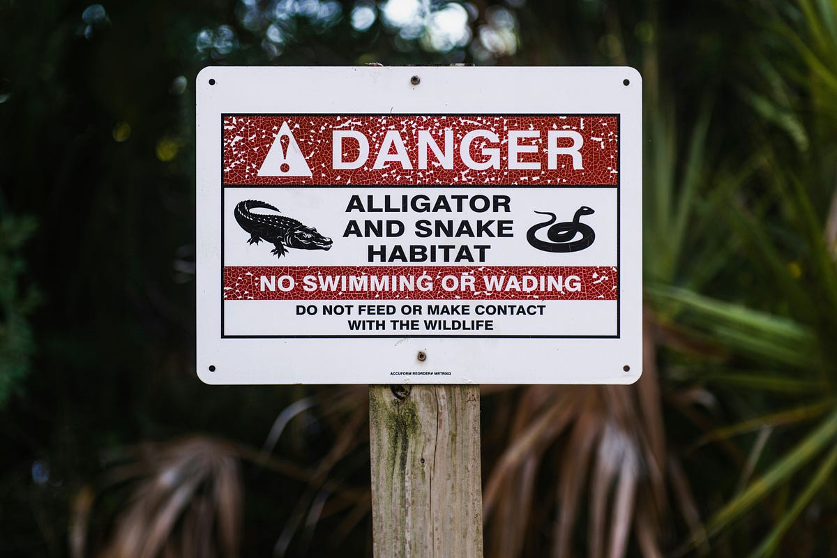 Top Reasons I’m Avoiding Florida. It’s not so much the heat, it’s the ...