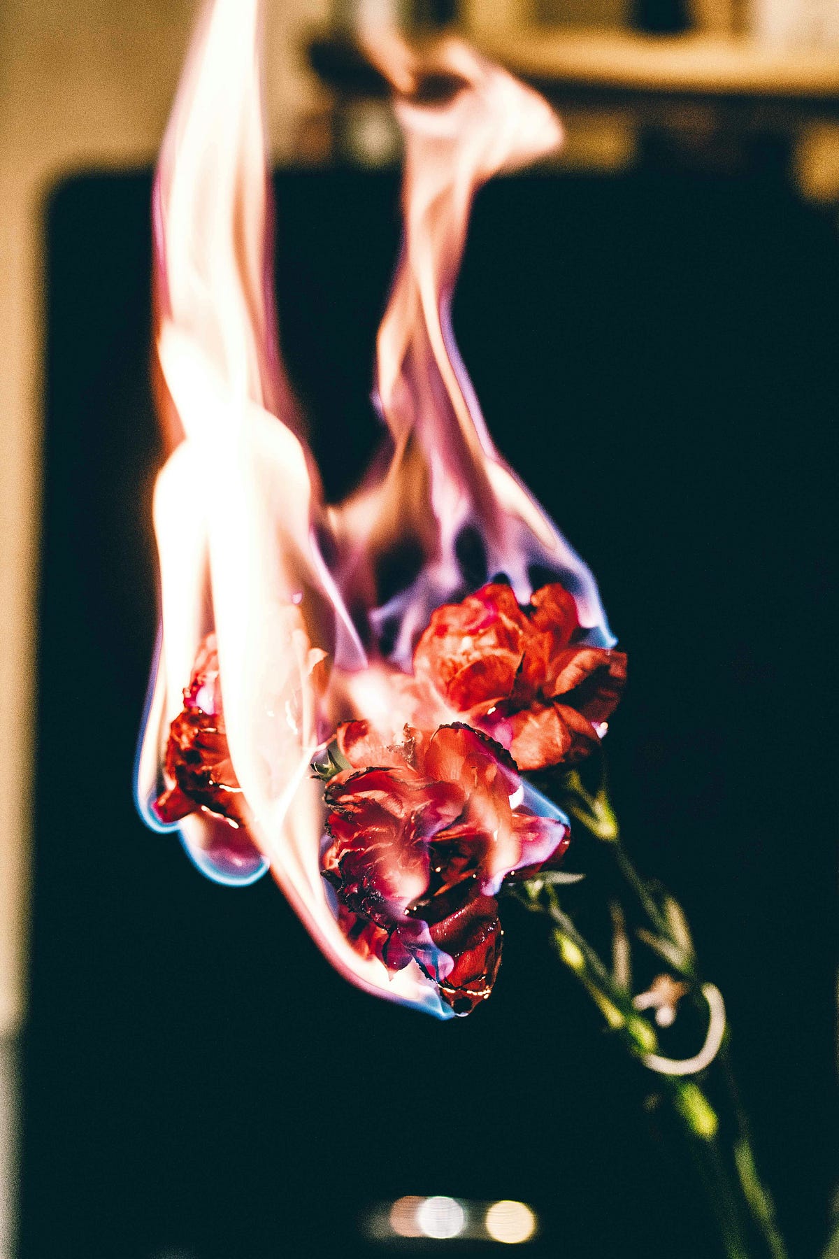 The Twin Flames Universe And Are Twin Flames Real? | by PRINCESS ANGIE ...