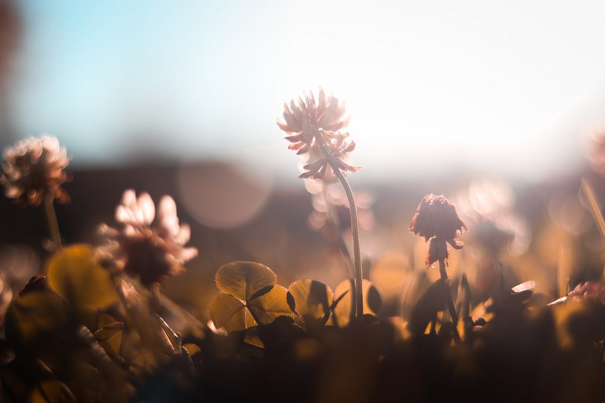 How to Add More Depth in Your Storytelling | The Writing Cooperative