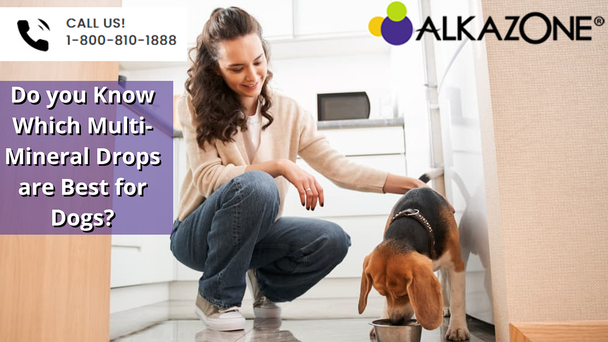 Do you know which multi-mineral drops are best for dogs? | by Alkazone ...