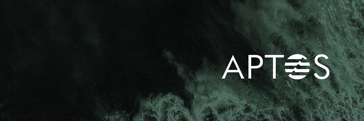 Aptos Ecosystem Guide. Aptos — L1 blockchain with a focus on… | by ...