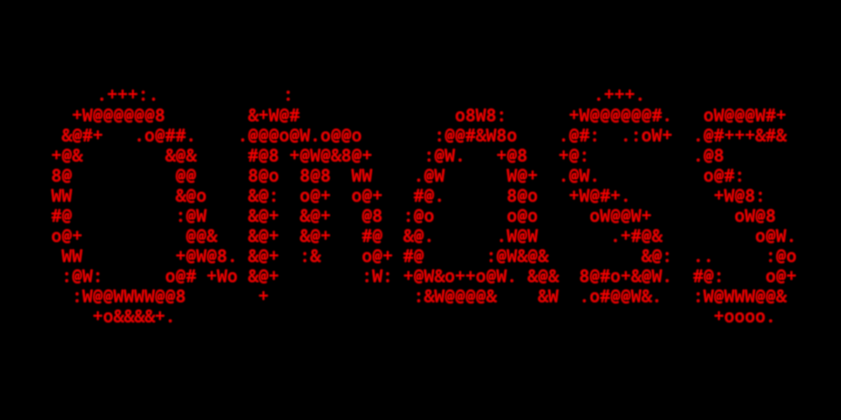 Amass: An Overview of the Network Reconnaissance Tool | by Cuncis | Medium