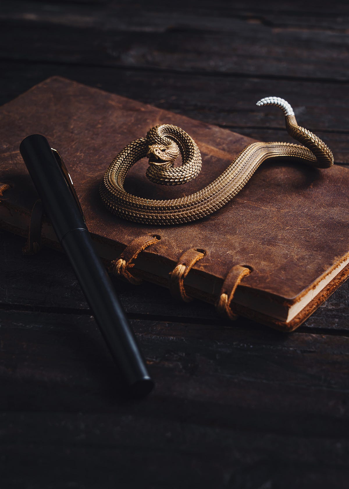 When a Stick Turned Into a Snake. God vs Magic (God Won) | by Purple ...