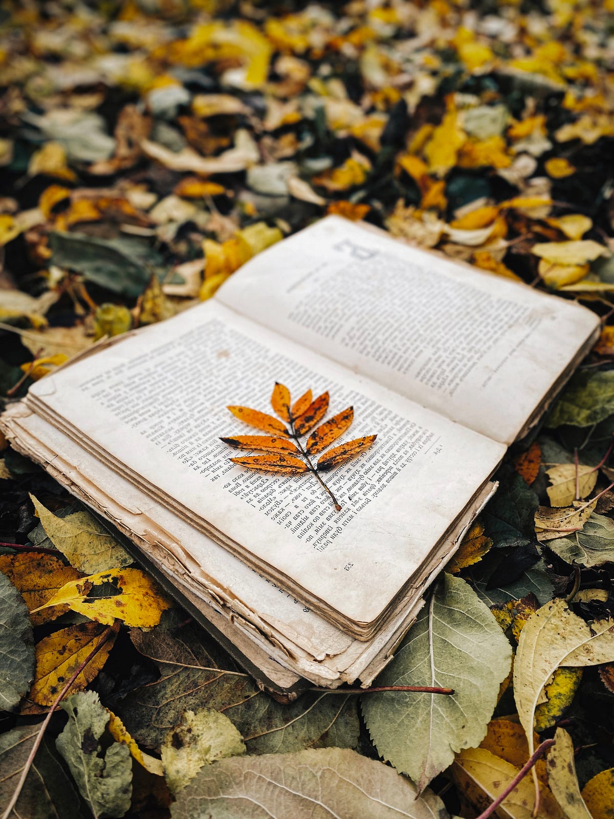 Ten to Recommend #21. 10 Poems on Medium I’ve read in the… | by John ...