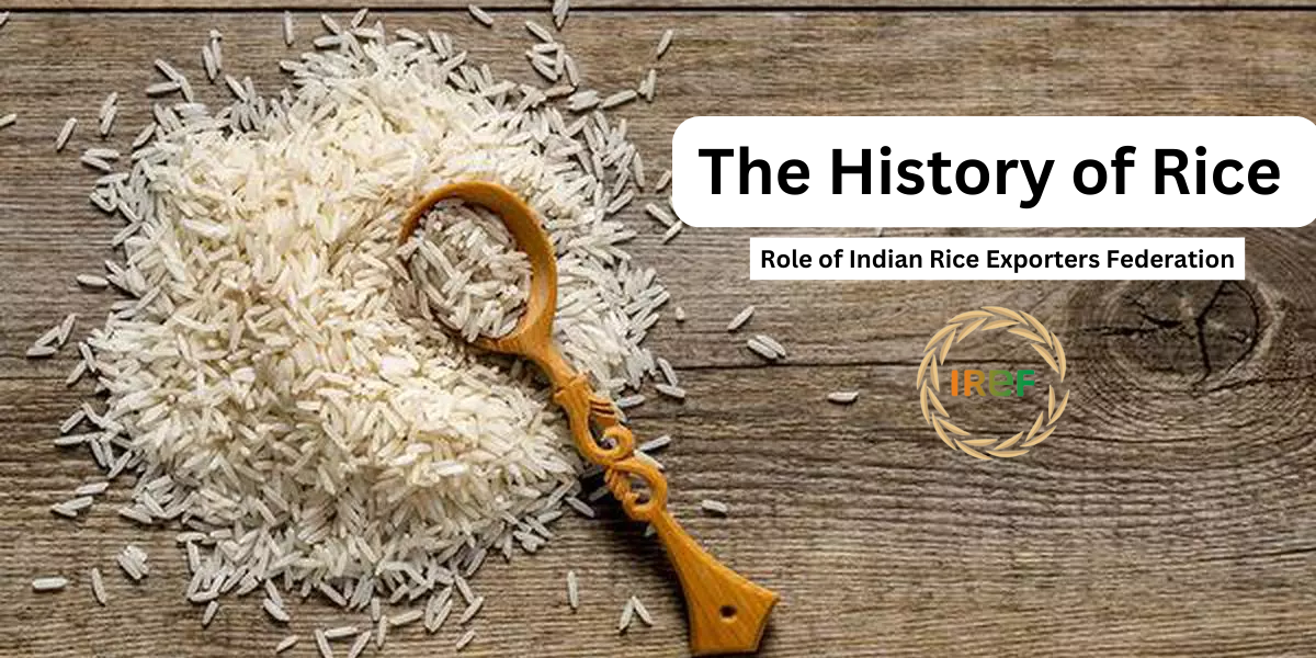 The History of Rice & Role of Indian Rice Exporters Federation | by ...