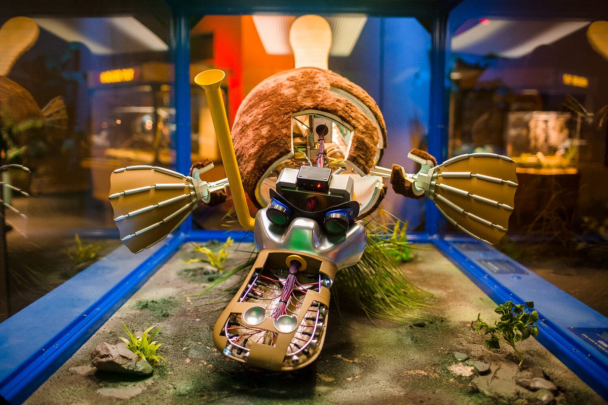 Robotic Zoo. In a world where technology continually… | by Büşra ...