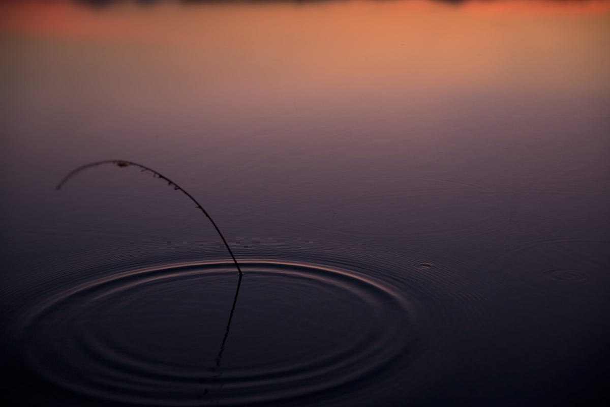Tiny Ripples - Ravyne’s Nest - Medium