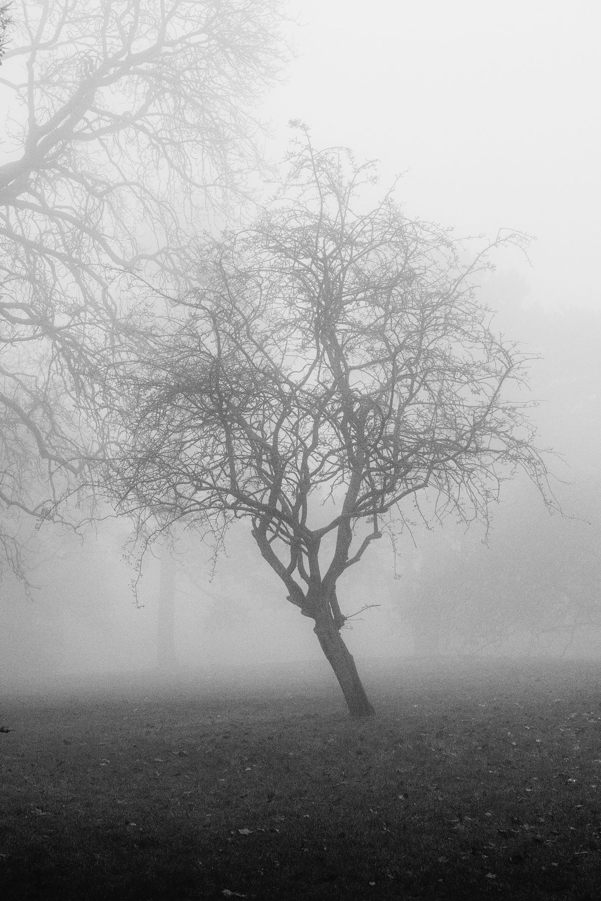 Last December, the Worst to Remember | by Samah Zaqout | New Writers Welcome | Medium