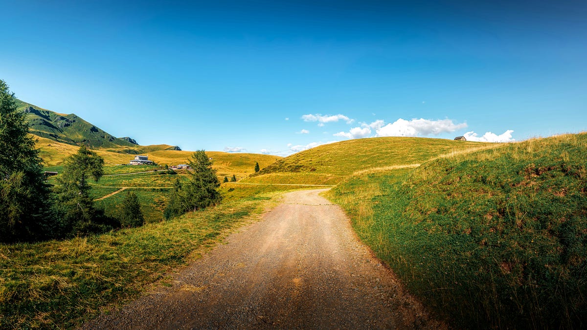 Life’s Walk. A Poem | by Suzanne Henderson | Wake. Write. Win. | Dec, 2024 | Medium