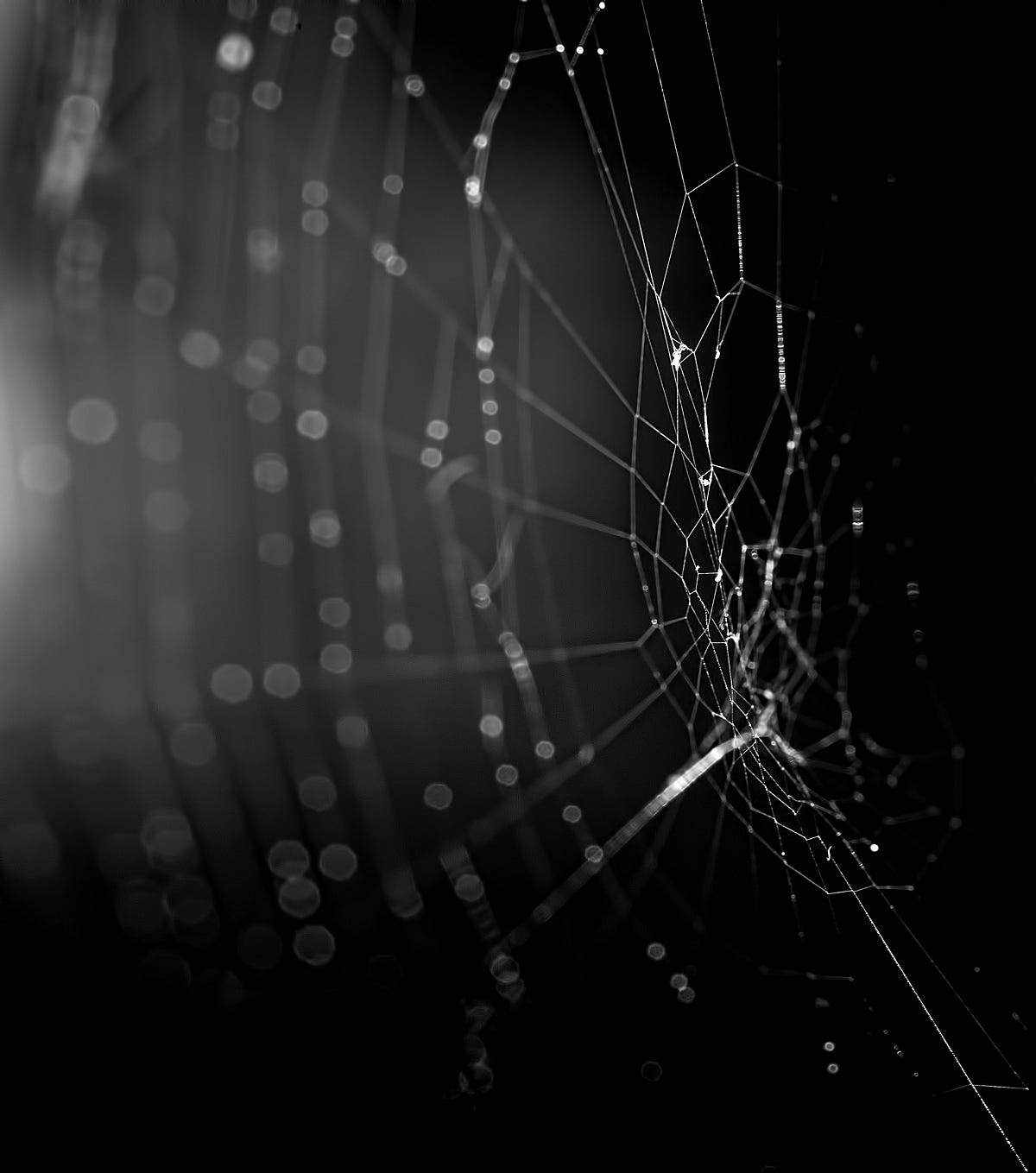 Away With The Spider - Si'emon Studios - Medium