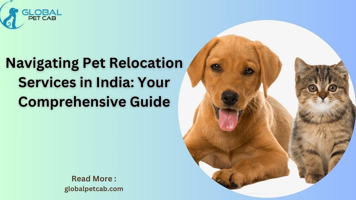 Smooth Moves: Navigating Pet Relocation Services in India | by Global ...