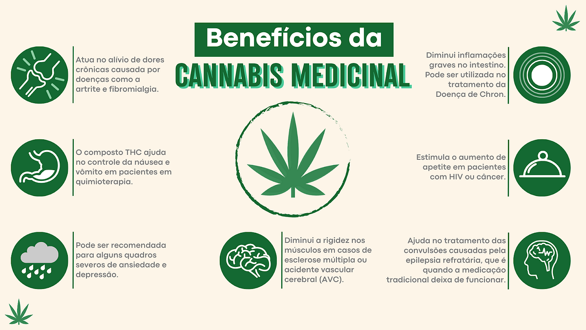 Cannabis Medicinal: a promessa de uma vida saudável | by Gabriele Castaldi | Medium