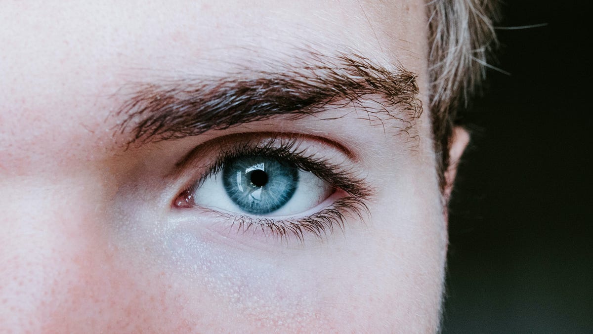 I See You, Single White Eyebrow Hair | by Chantelle Atkins | The Honest ...
