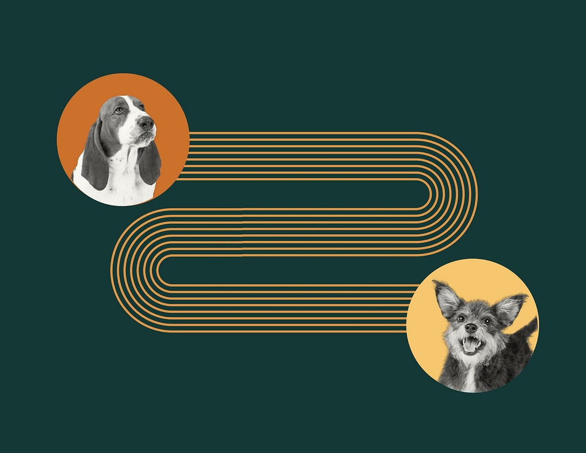 Inspiring connections: A workshop for building a collaborative ...