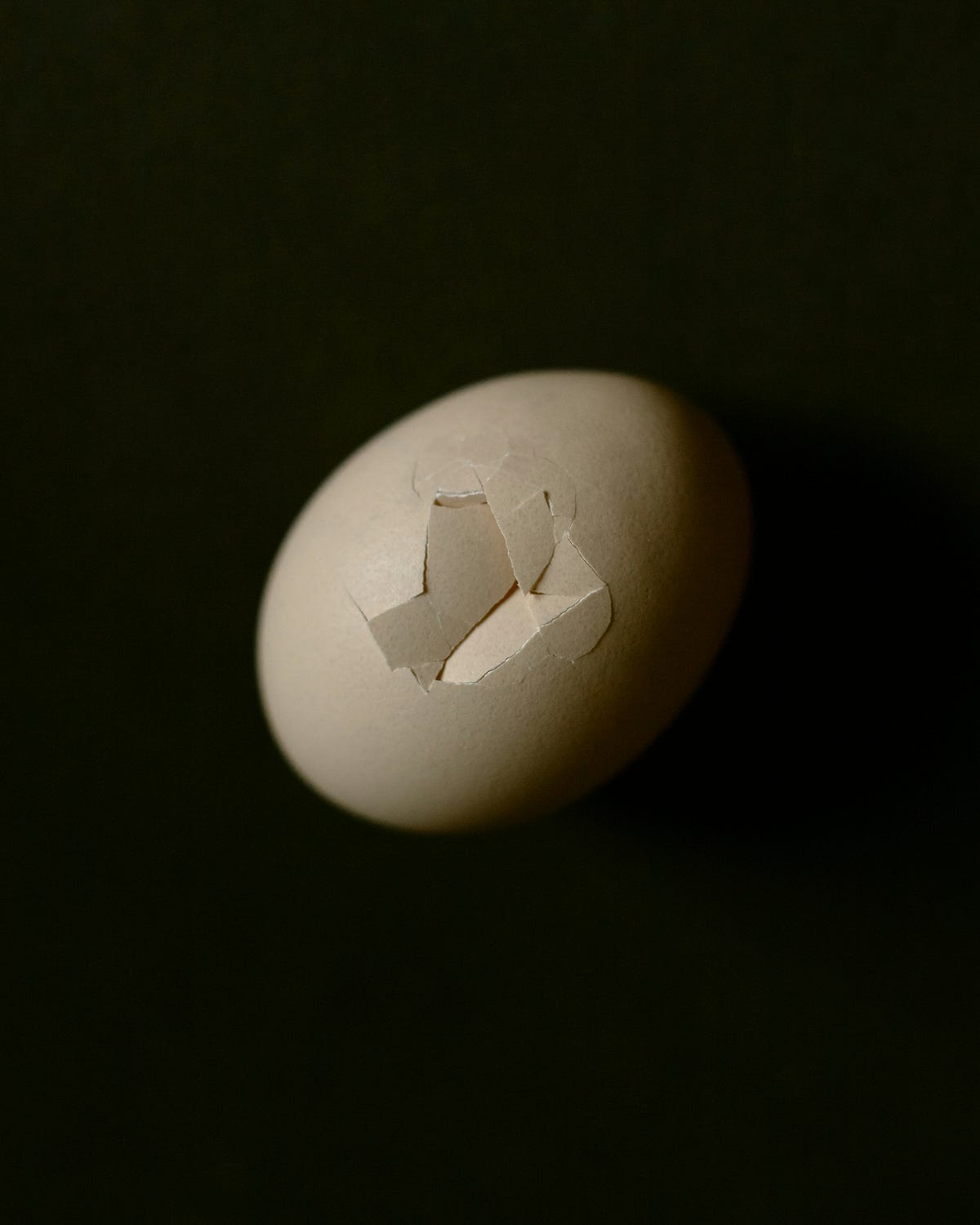 open me carefully. with you i am a bruised eggshell clad… | by Tom ...