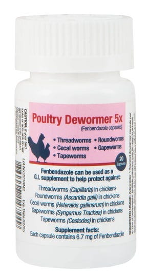Chicken Dewormers | by Thomas Wilson | Jul, 2024 | Medium