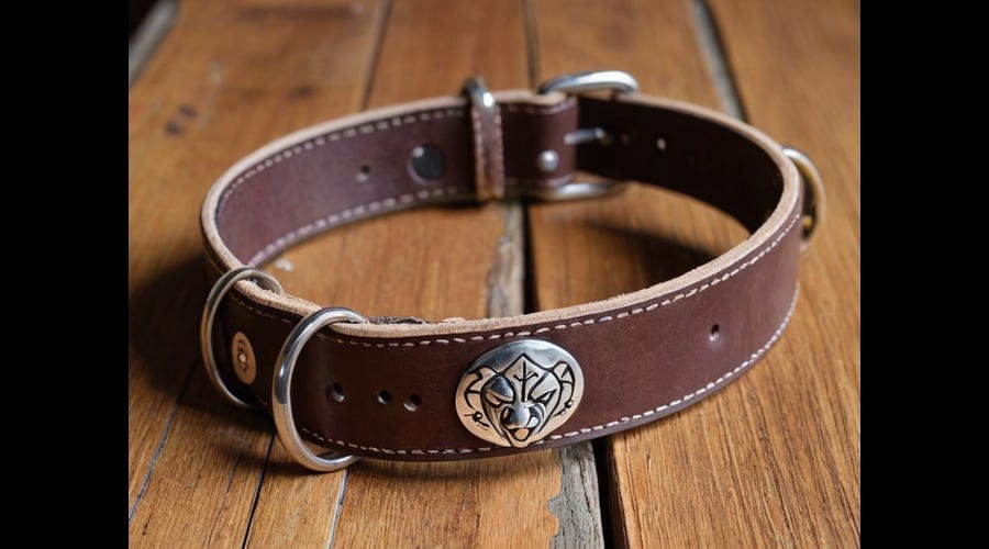 Roam Dog Collar | by Amanda Green | Mar, 2024 | Medium
