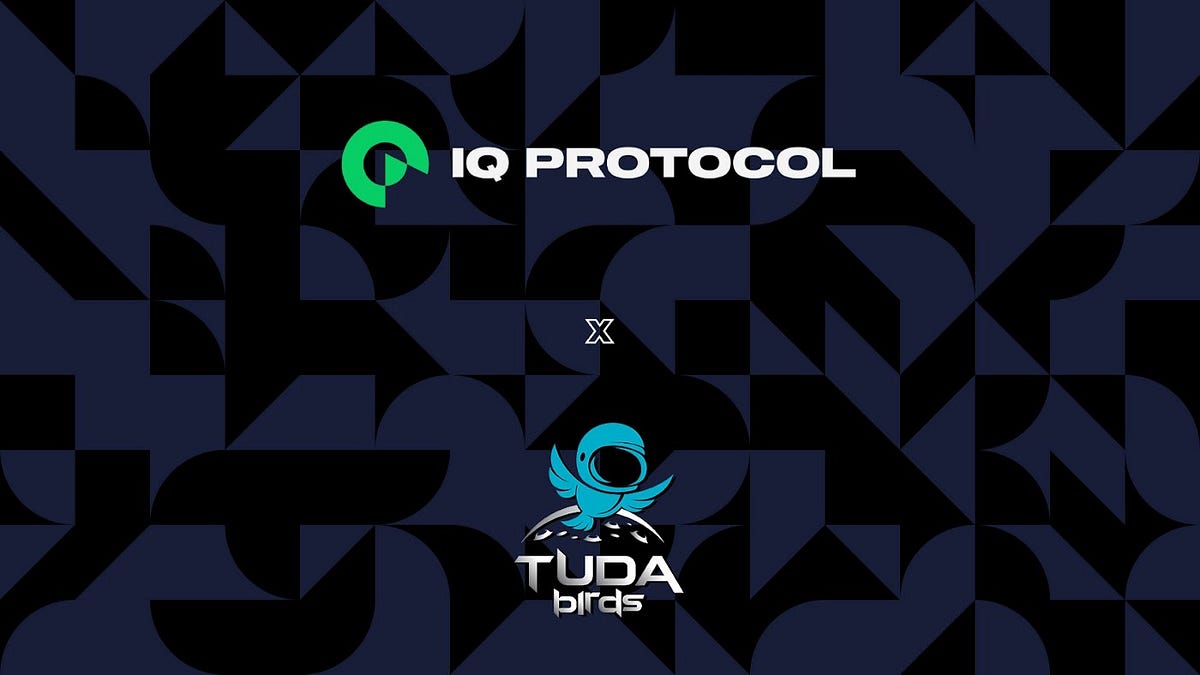 IQ Protocol le da la bienvenida a tudaBirds metaNest | by Frank | Medium