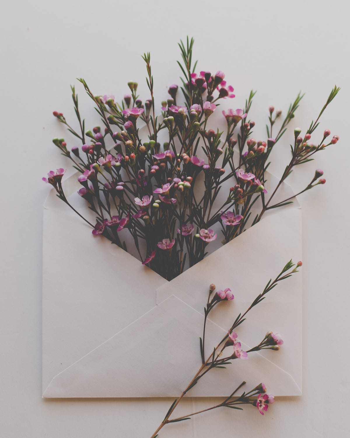 To The Women in My Life. A Reflection On Past Letters | by Tabitha Malinowski | Medium