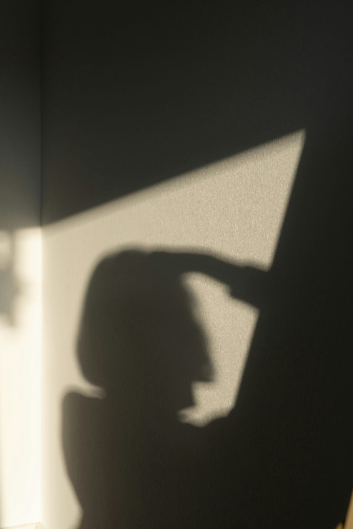 Could the Shadow Be the Soul Map of Living Beings? | by Luna | Jul ...