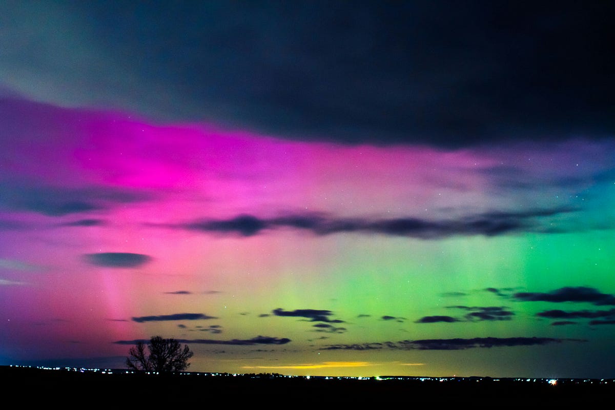 The Nature of Phenomena. Phenomena are bridges between the… | by Biodun ...