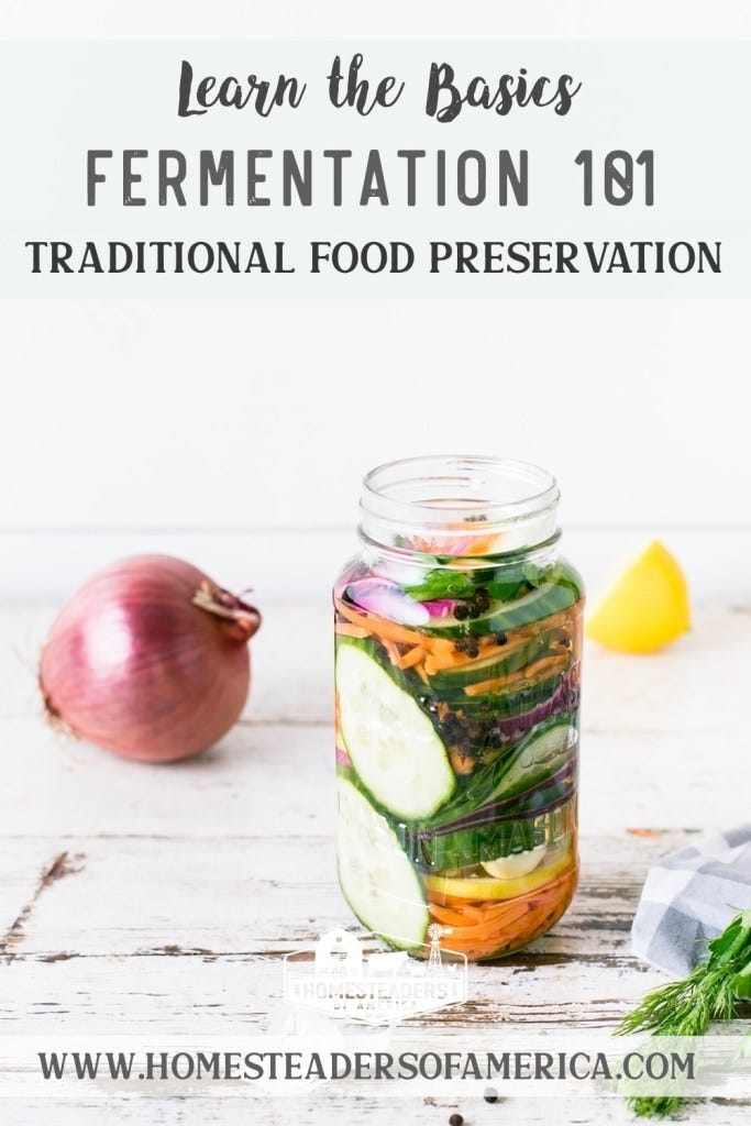 Fermentation basics | by Carlosrod Riguez | Aug, 2024 | Medium