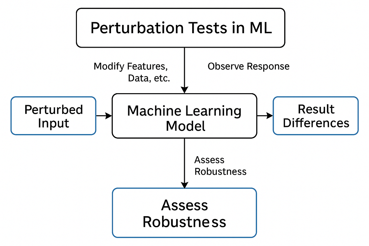 When Accuracy Isn’t Enough: The Case for Perturbation Testing in ...