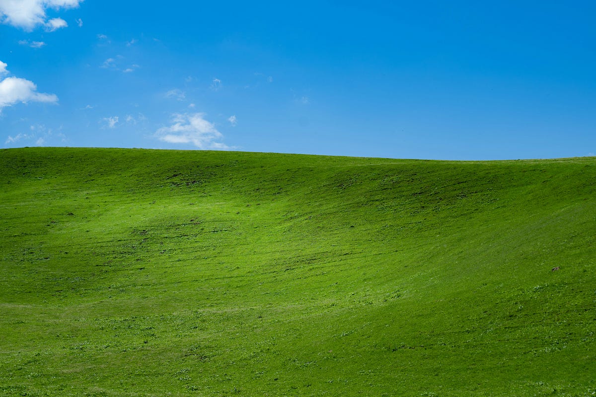 Why We Still Miss Windows XP (Yes, Even Now) | by Brann Wolfskin | Aug ...