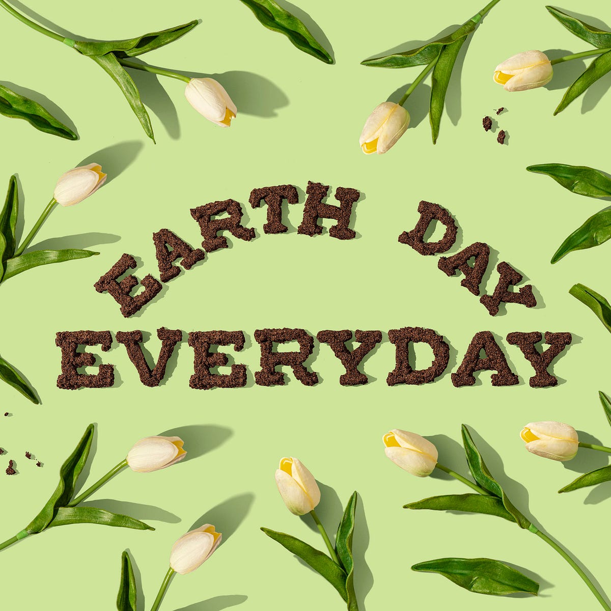 The History of Earth Day: How It Started and Why It Matters | by Amber ...