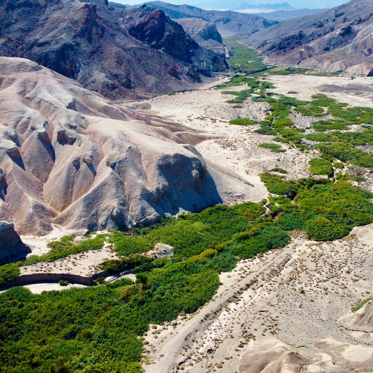 The Death Valley River. Most desert rivers follow a familiar… | by ...