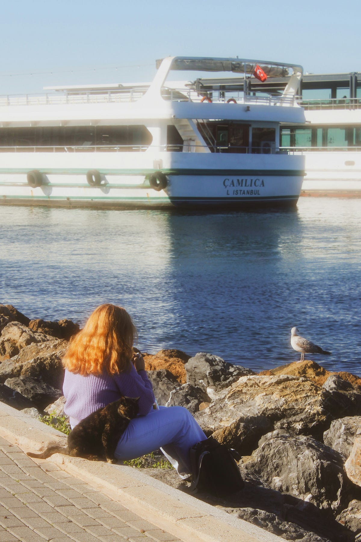 Did you hear abou…. No. | by Debadrita Majumder | Heartline Publications | Nov, 2025 | Medium