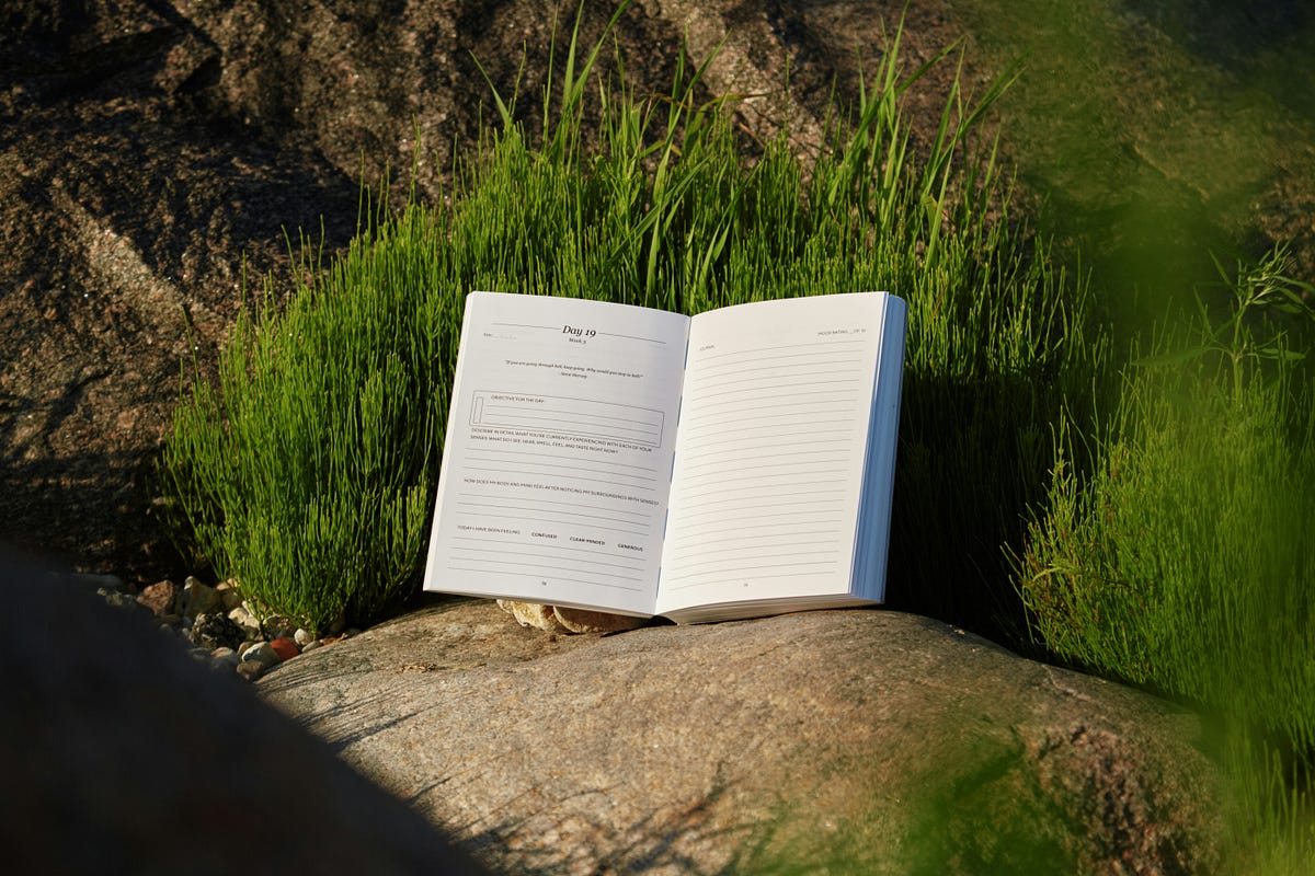 I Find My Path — A Roadmap to Personal Growth and Peace. - Action in ...