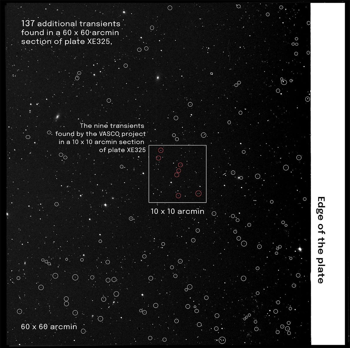 Not Seeing the Star Cloud for the Stars | by Izabela Melamed | Medium