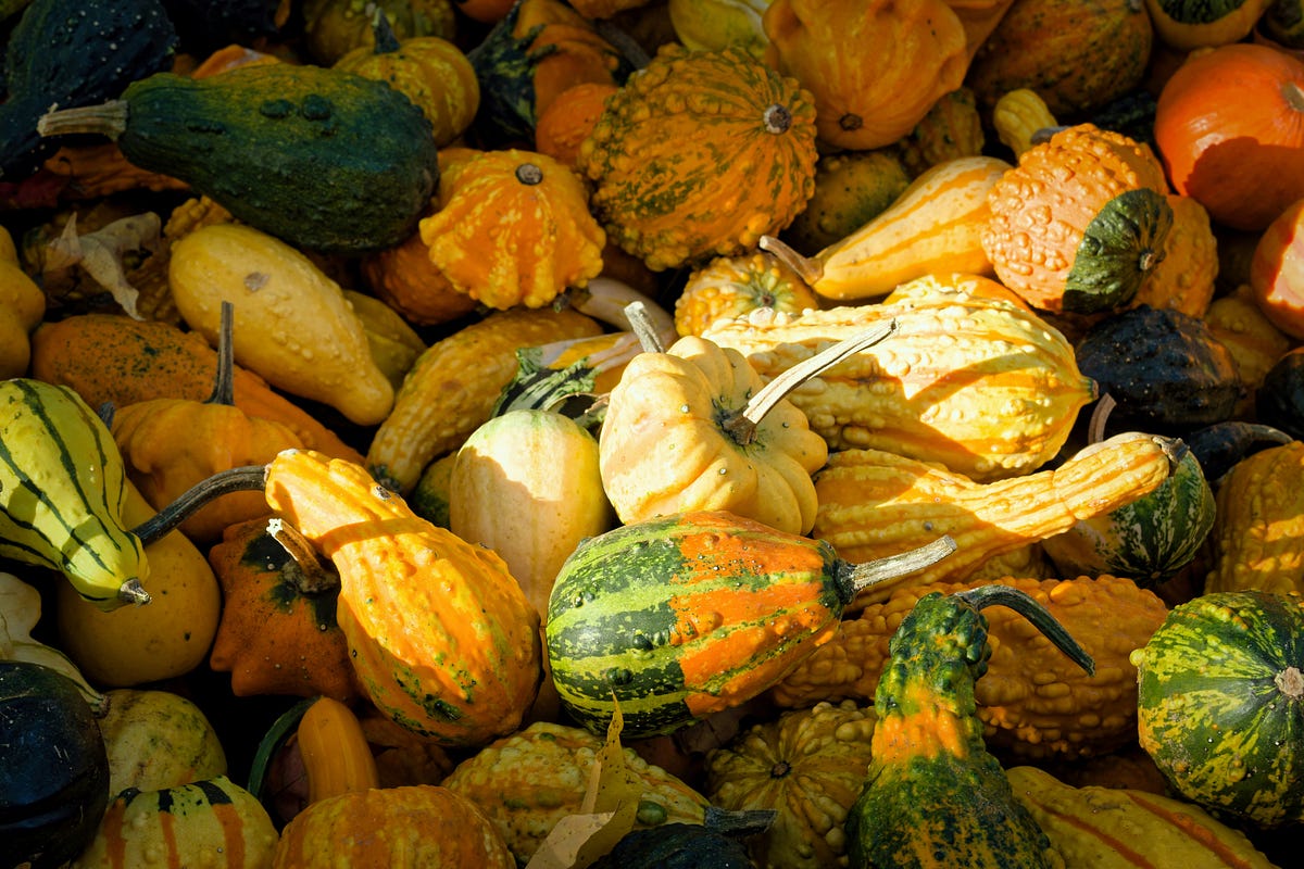 variety inspired. Lowen’s breath stopped after Verity… | by Imtiaz Ahmed | Mar, 2025 | Medium