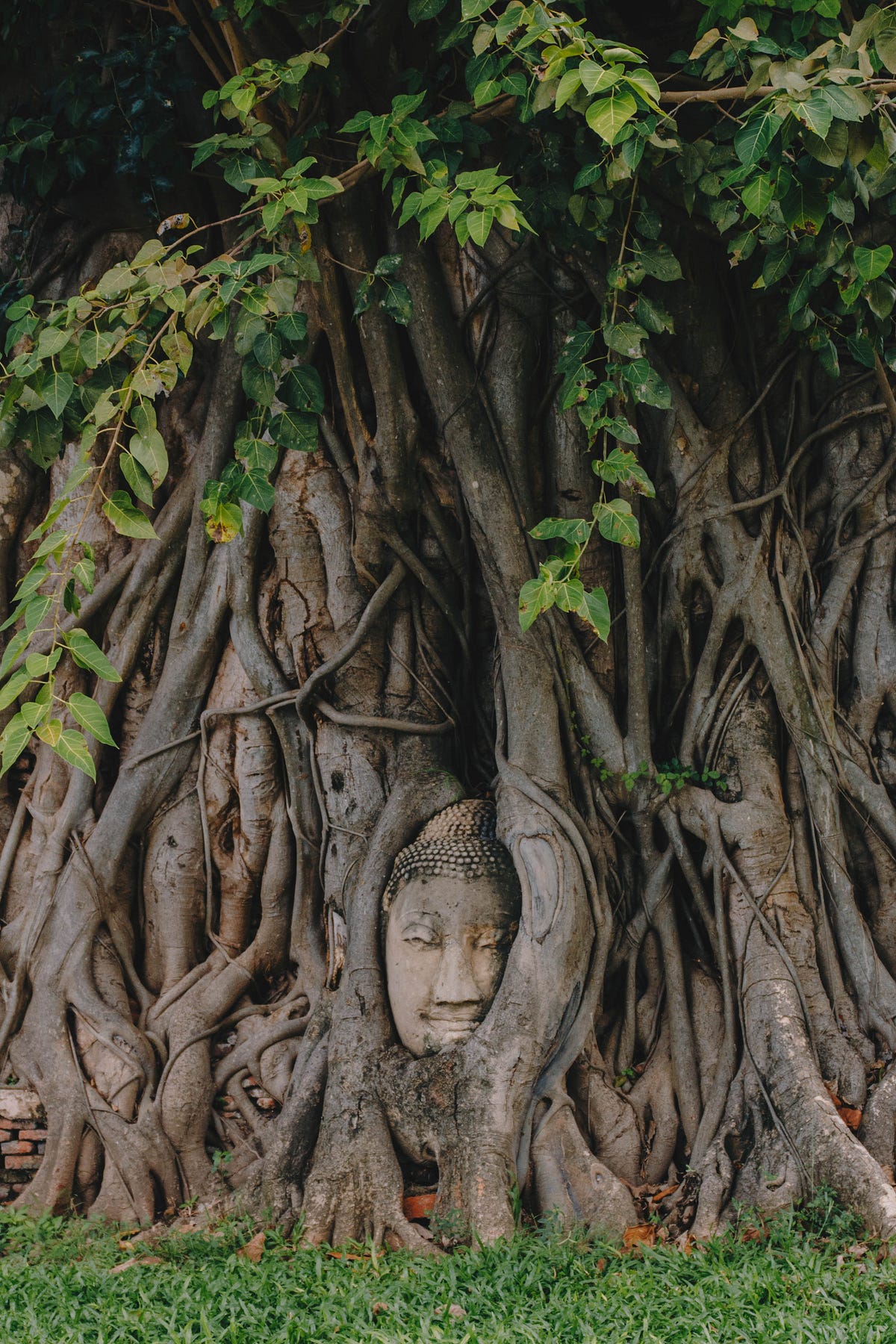 How to Balance Your Root Chakra On 7 Wellbeing Dimensions | by Jodie | Know Thyself, Heal ...