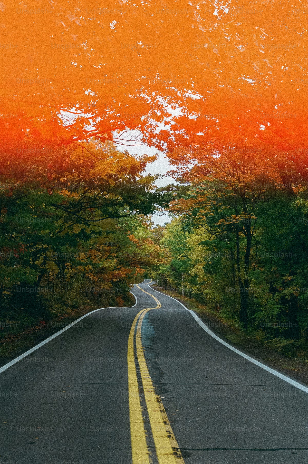 Why 5D Intuition Feels Like a Superpower — And an Invitation to Rewrite ...