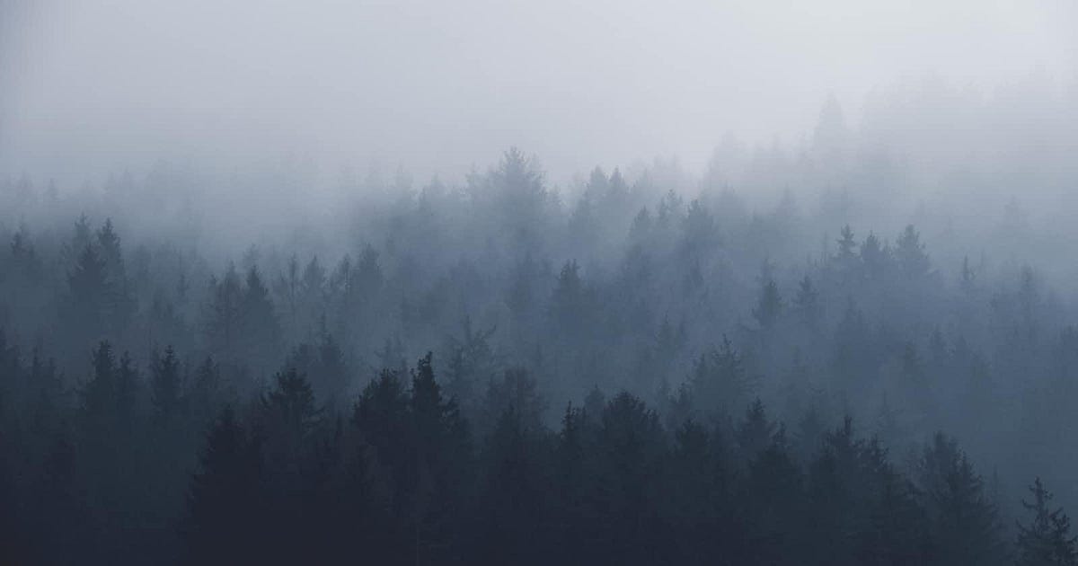 Create a Weather App Using Django | by Wulfi | Dev Genius