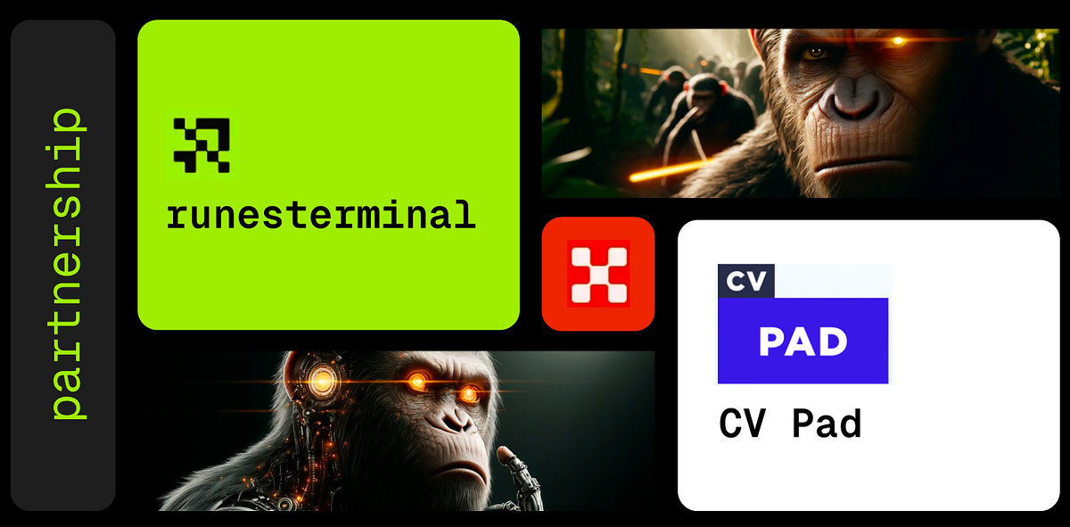 CV Pad x RunesTerminal: A New Path for Web3 Innovation | by BtcTerminal | Medium