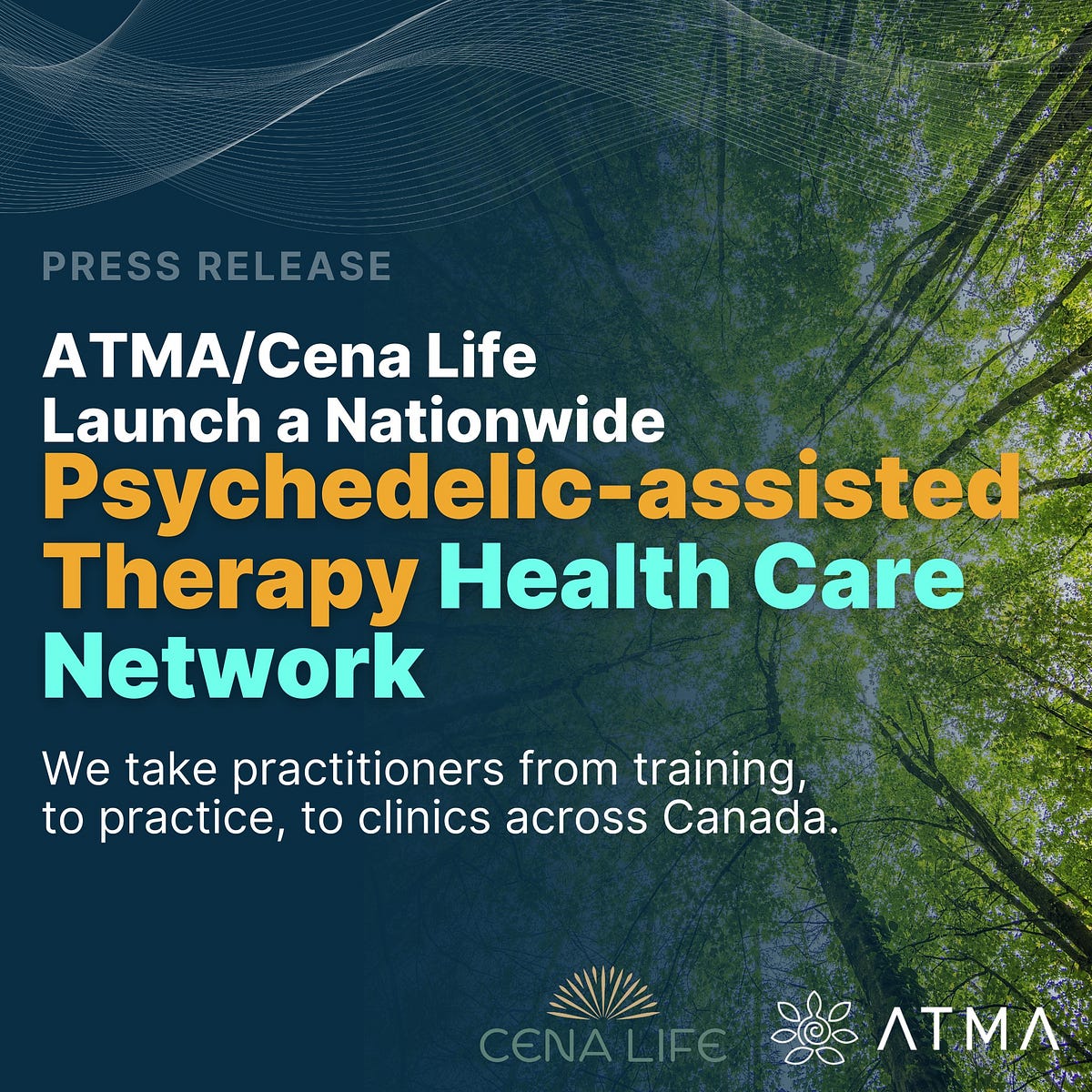 Exploring the Basics of Psychedelic Therapy Training | by ...